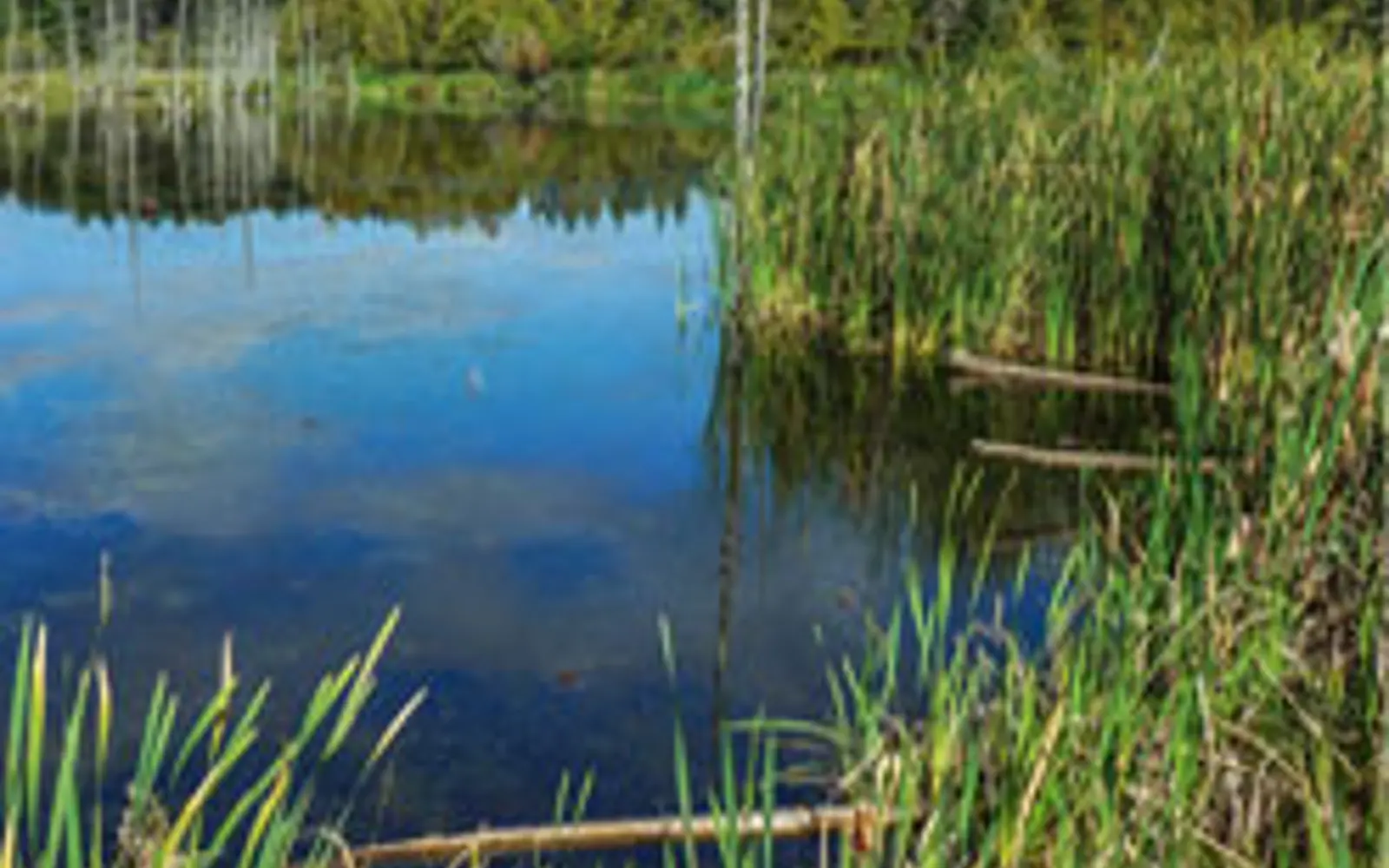 Home | Drinking Water Source Protection